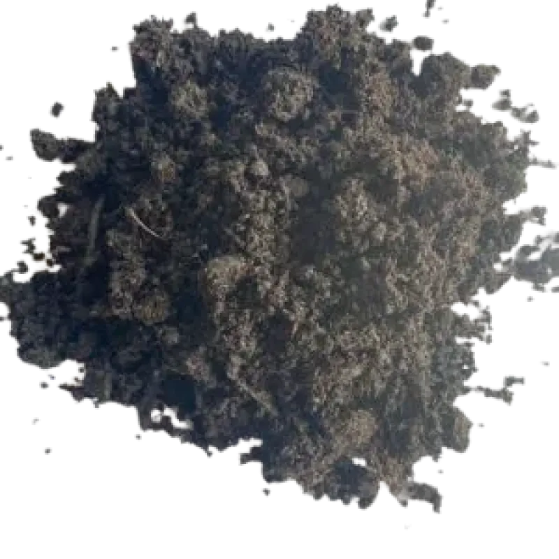 Turba Horticola 40L, ideala pentru plantarea si transplantarea plantelor